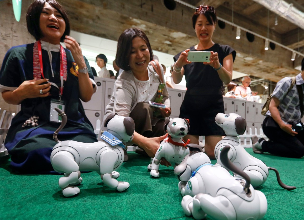 House robots are coming—and they will be dangerously cute