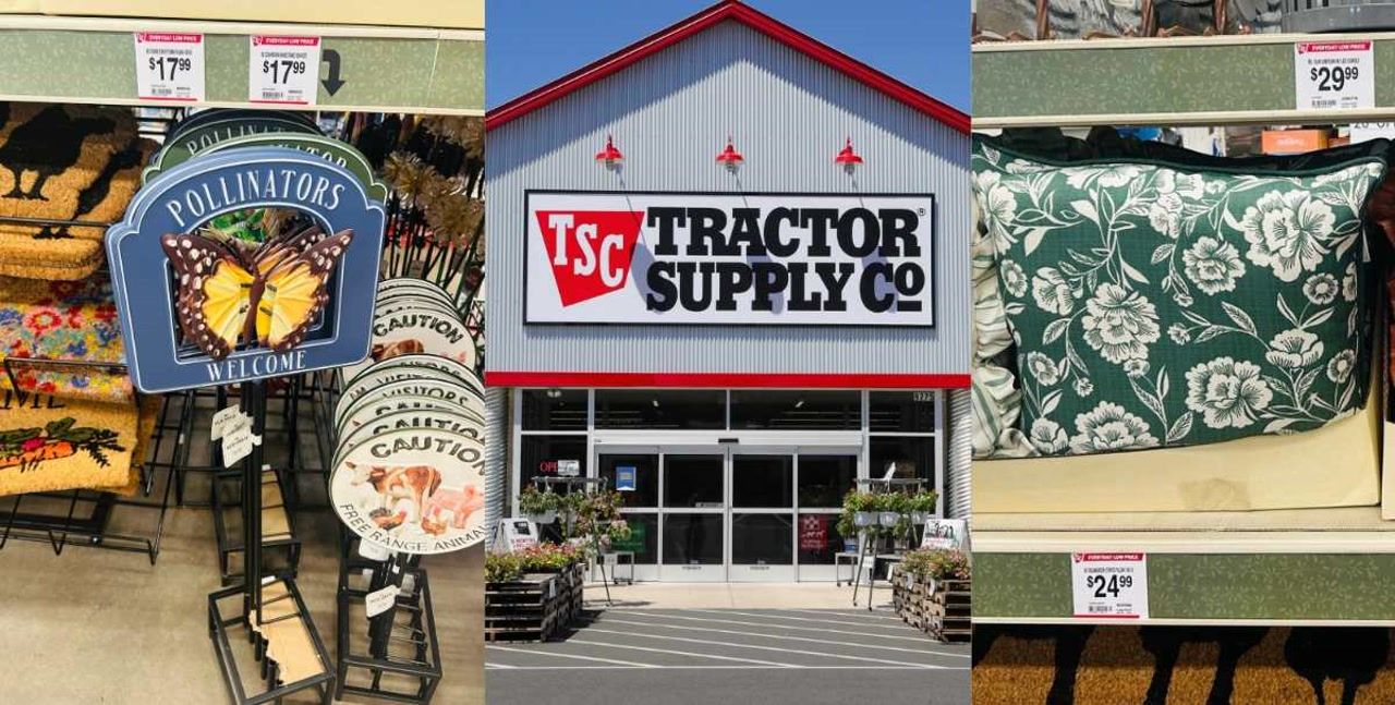 I can't believe these Tractor Supply yard finds are under $30!