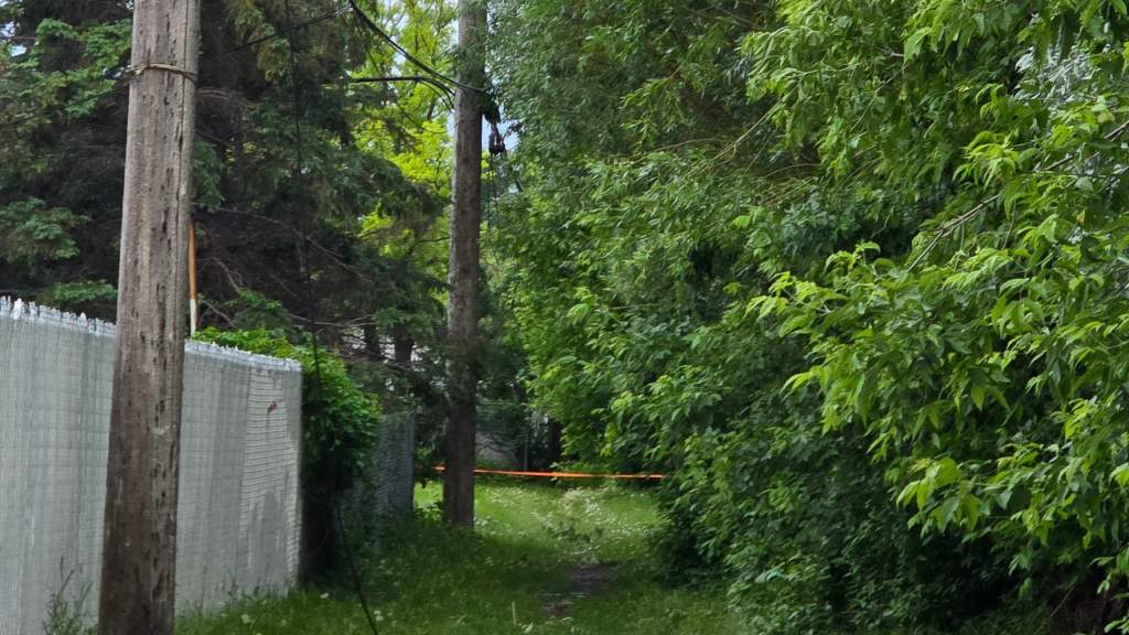 Manitoba Hydro making ‘significant progress’ restoring power after storm