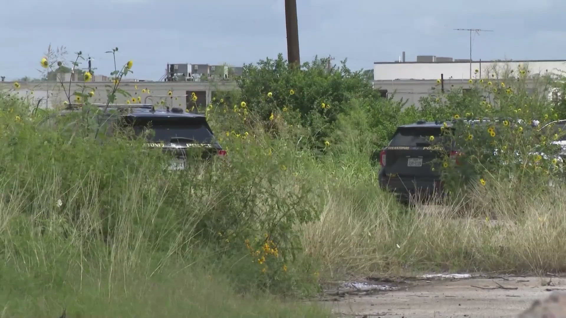 San Antonio police discover multiple stolen vehicles on west side