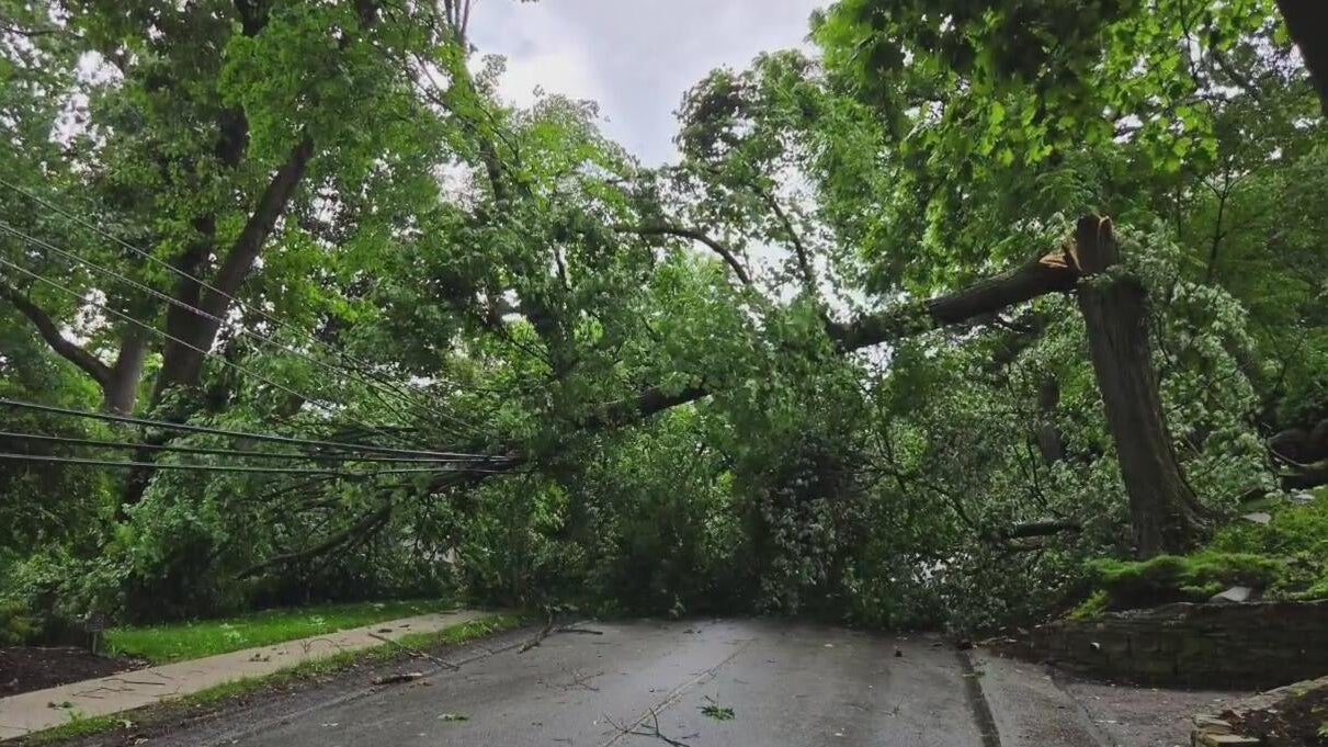 Strong storms sweep through Pittsburgh area, bringing down trees and ...