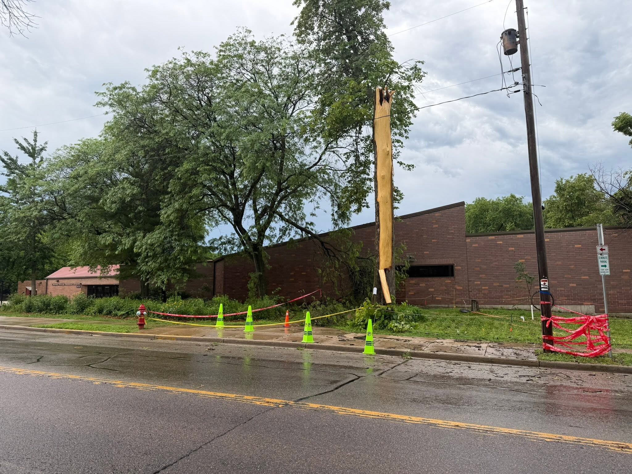 Fallen tree branches, crushed car among storm damage at Madison’s ...