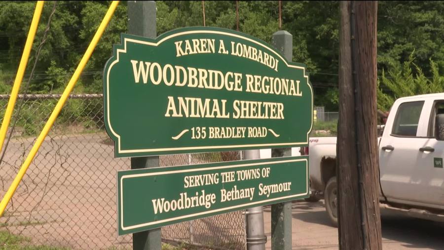 Woodbridge animal control at capacity following 'suspicious incident ...