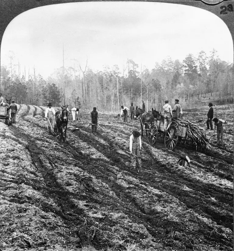 The all-American history of the word 'redneck': From a southern slur to ...