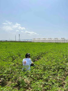 Can hemp save Turkey's troubled textile industry? Exporters are betting ...