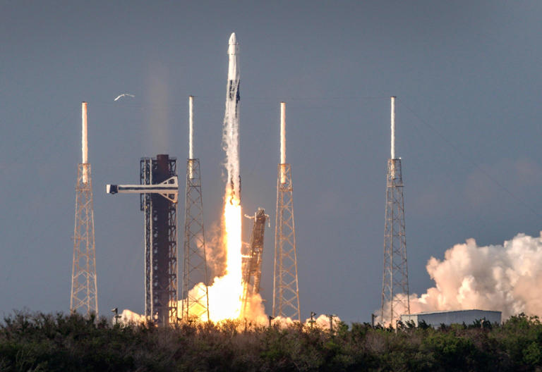 La quotazione di SpaceX fa ricchi anche baristi e saldatori: l ...