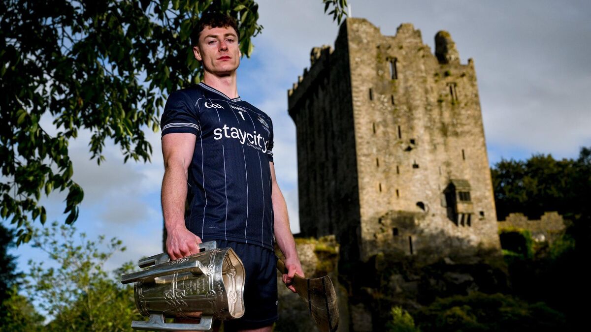 'Munster teams put on a pedestal compared to Leinster teams': Dublin ...