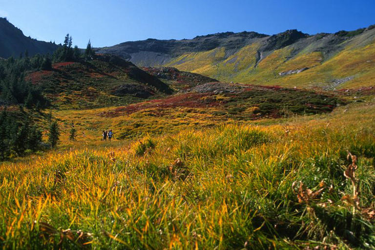 Human remains found in sleeping bag in national park identified 26 ...