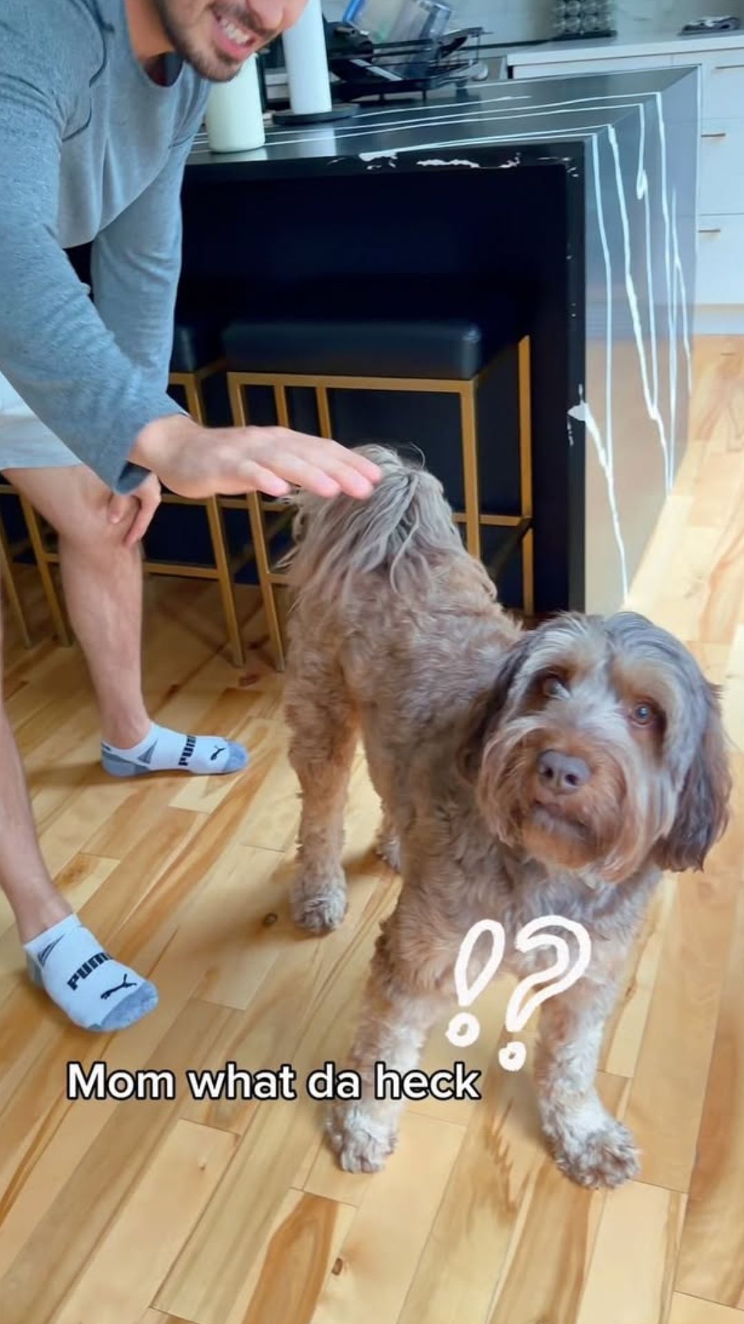 Funny dog moment: He puts daddy in his place