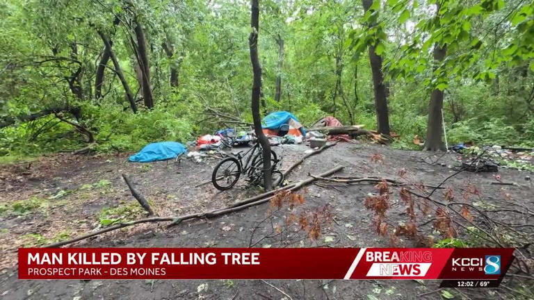 Man at Des Moines homeless encampment dies after being hit by falling tree