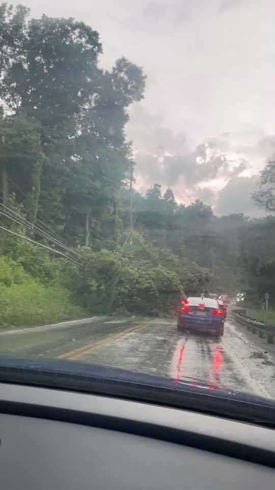 Strong storms topple trees, bring down wires in western Pennsylvania