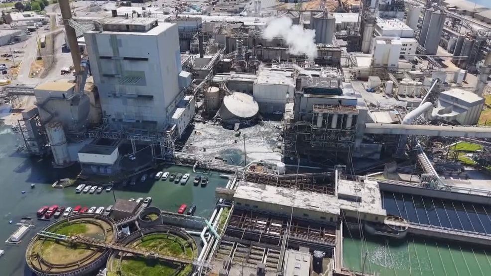 New autopsy findings released for victims of Nippon Dynawave disaster ...
