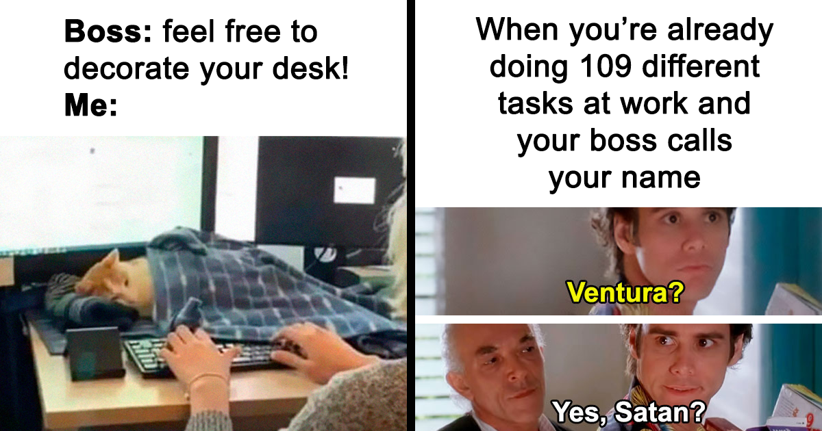 Work and adult life: 43 funny and relatable memes and online posts
