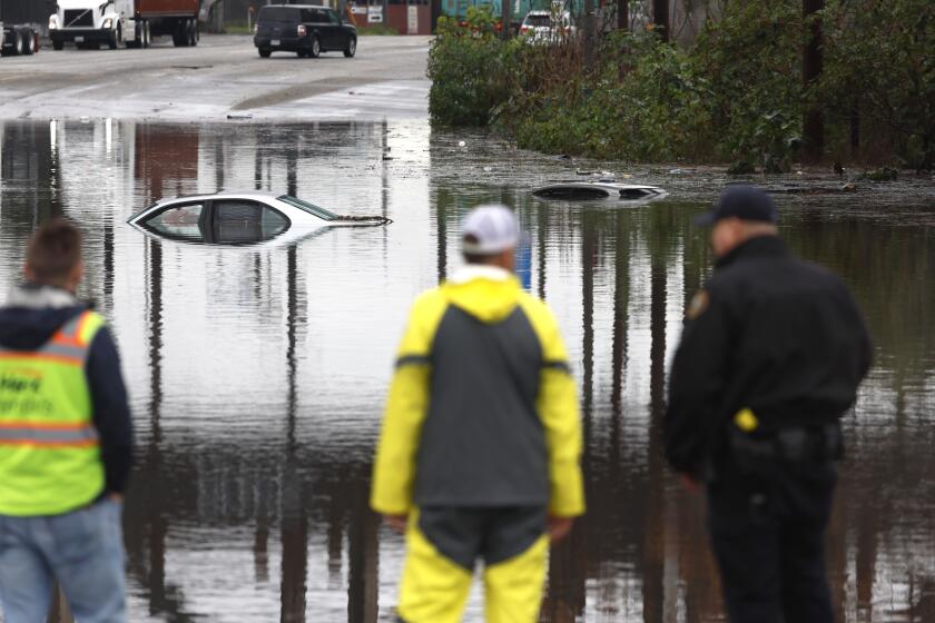 El Niño is here, and chances are it'll be a doozy. What that means for ...
