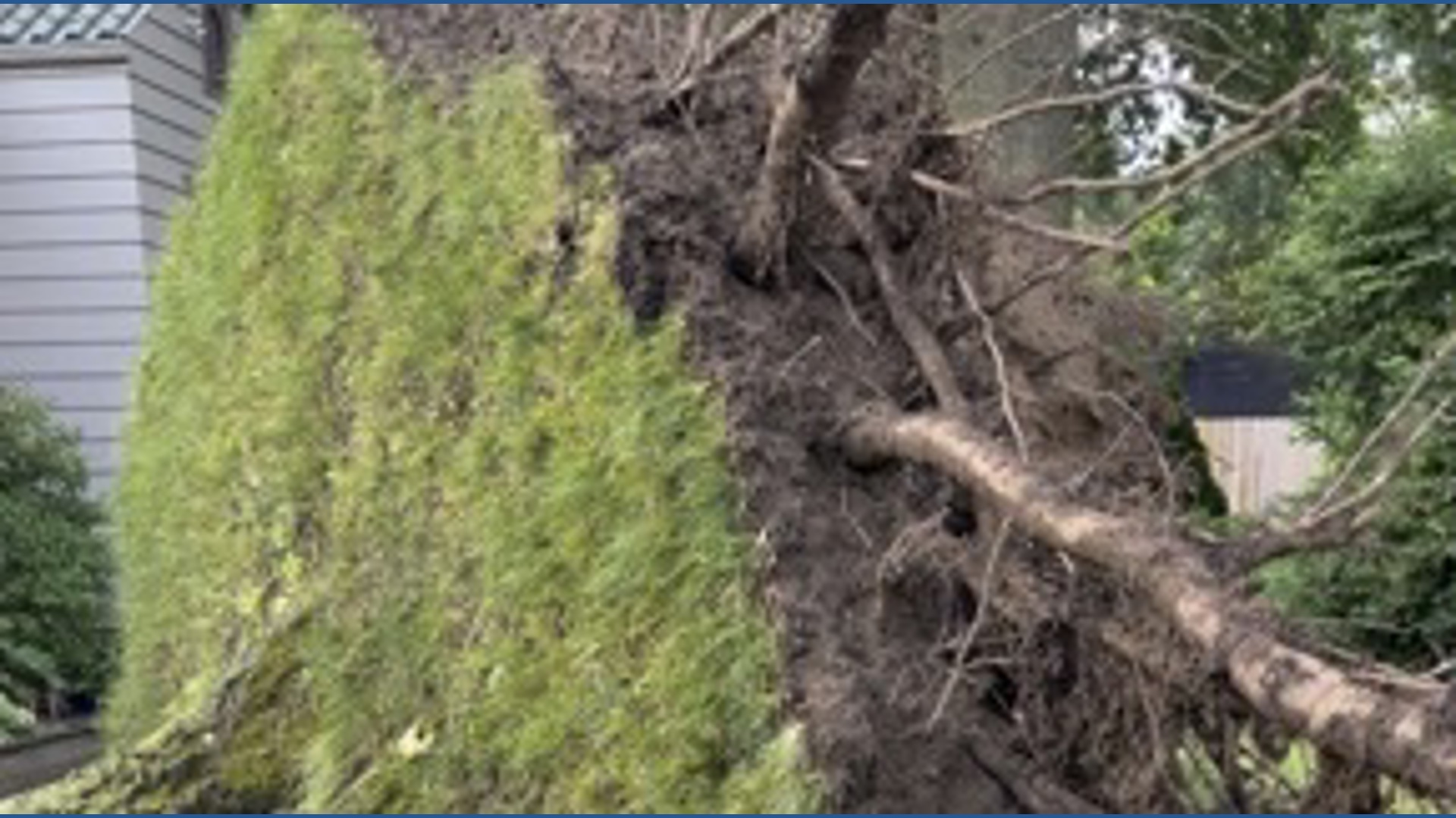 Microburst hits Amherst, leaving behind heavy damage