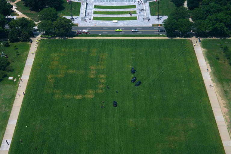 Apparent Trump protest phrase ‘86 47’ etched into National Mall