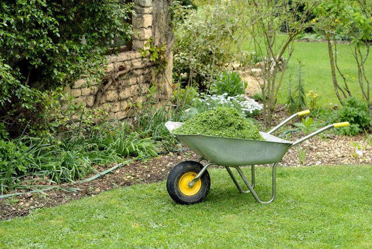 The free thing you're already growing right at home that you can use as ...