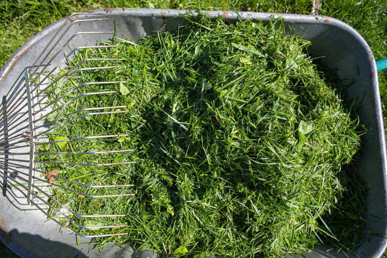 The free thing you're already growing right at home that you can use as ...