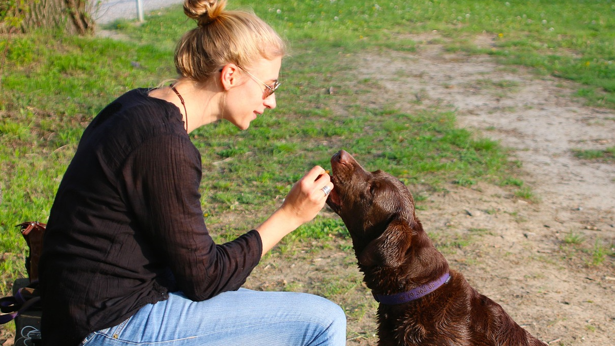 9 habits that dogs only develop with people they deeply trust