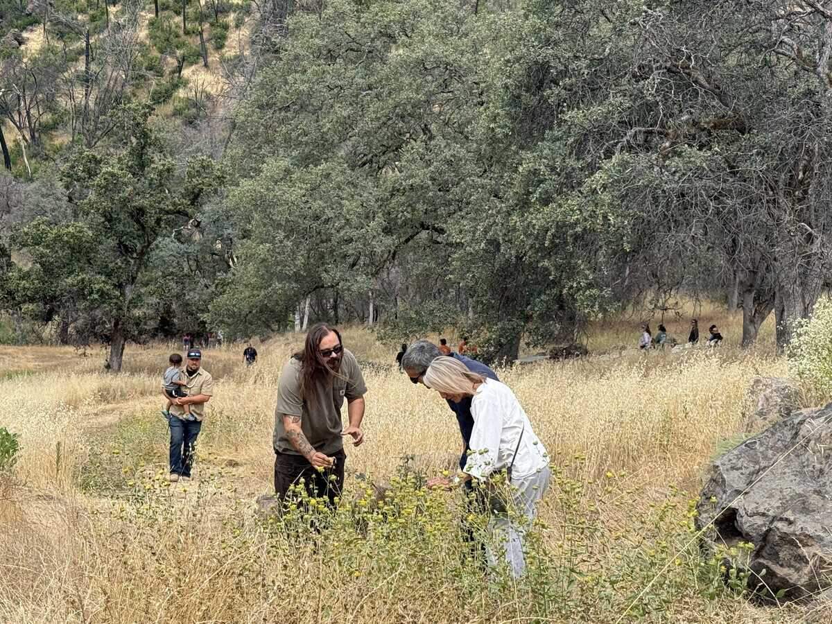 After generations apart, Northern California tribe regains 450 acres of ...