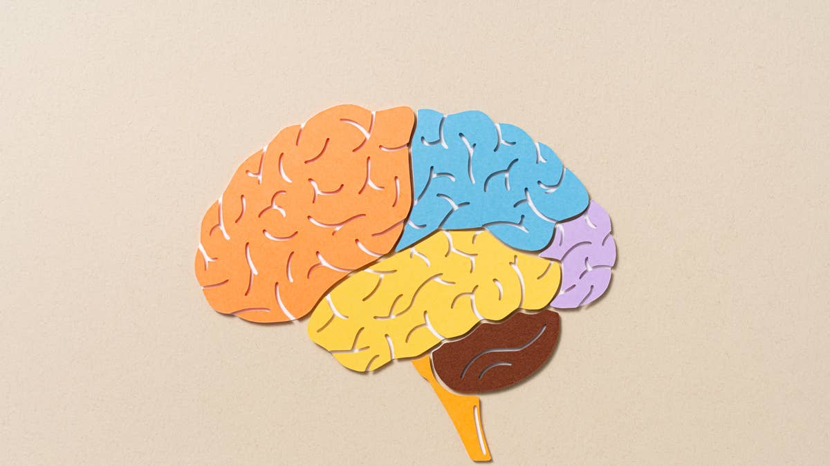 Health experts reveal how LEGO can boost cognitive skills in seniors