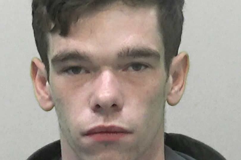 Newcastle food parcel volunteer left screaming as two dogs mauled him ...