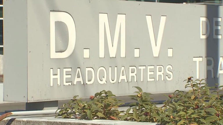 Agencies coming back online following statewide network outage