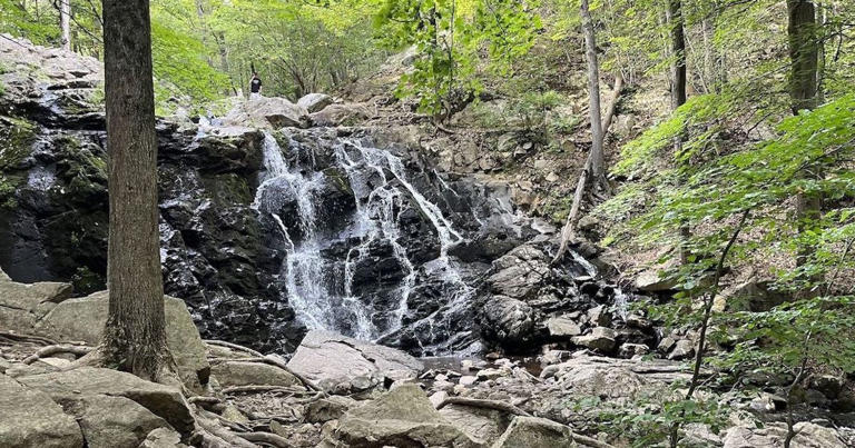 One scenic loop trail may be the most magical hike in New Jersey