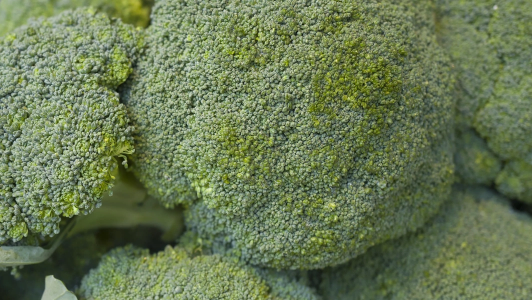 Experts highlight broccoli’s midday benefits for health and focus
