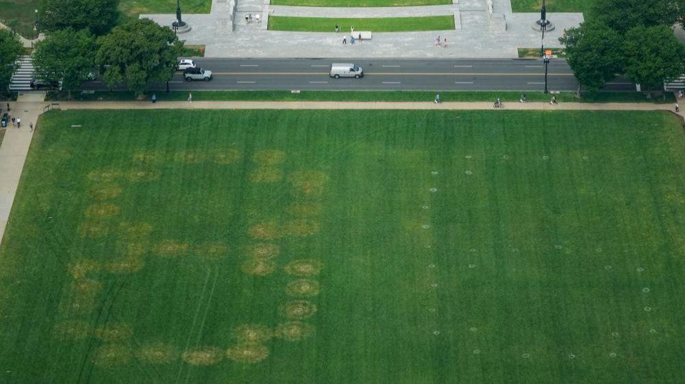 Police investigate '8647' written in grass on US National Mall