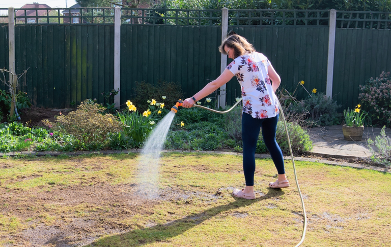 How to fix bare spots in your lawn