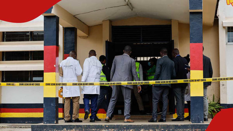 Makueni: Mystery as human male organ is found dumped along Nairobi ...