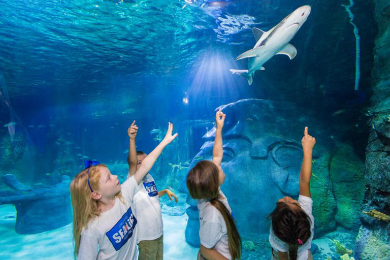 ICON Park, em Orlando, tem roda-gigante, aquário e museu de cera