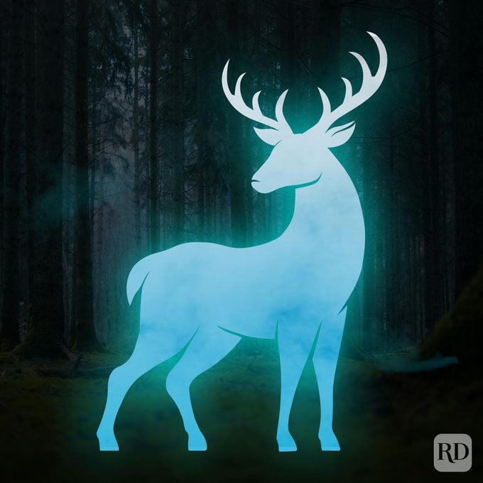 The secret behind Professor Snape’s Patronus in Harry Potter