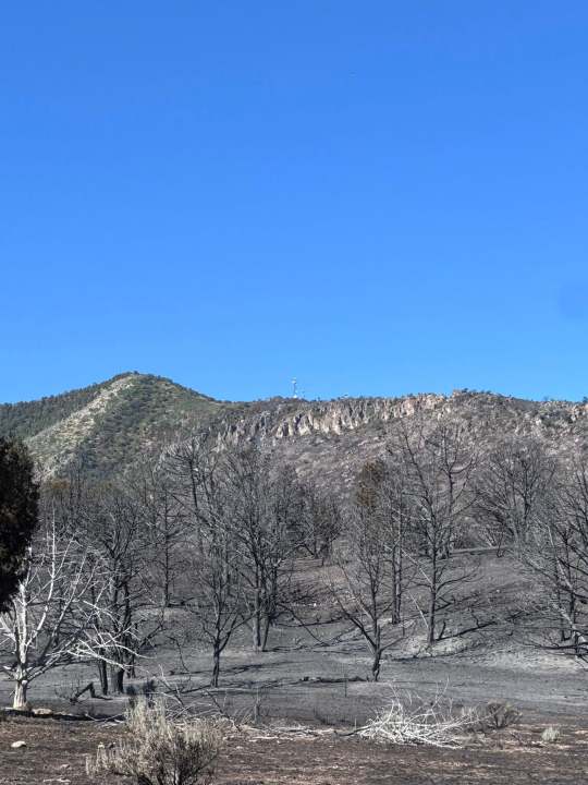 Tower Fire now at 80% containment, road closure to be lifted