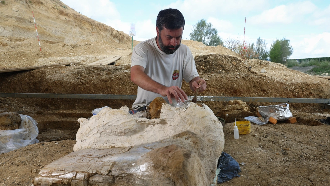 6 remarkable fossil discoveries reshaping prehistoric history