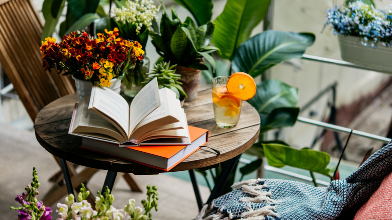 The most common myths about house plants debunked