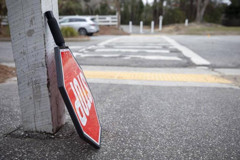 SC drops to 4th most dangerous state for pedestrians, but fatalities ...
