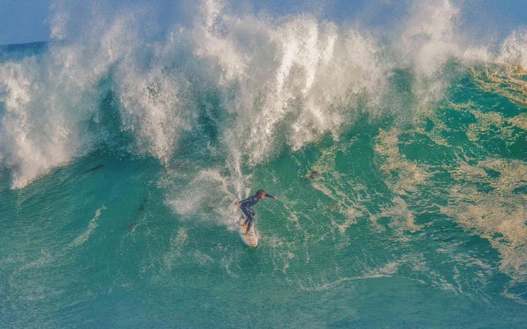 A historic swell just battered SoCal. Here’s what it was like to ...