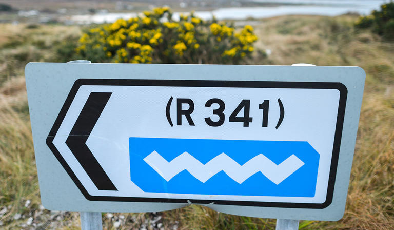 Do you know your road signs? Ignoring them could land you with a €120 fine