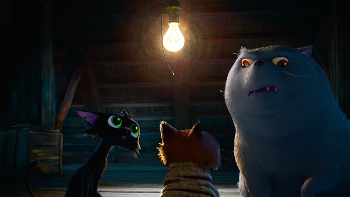 'Gatto' teaser