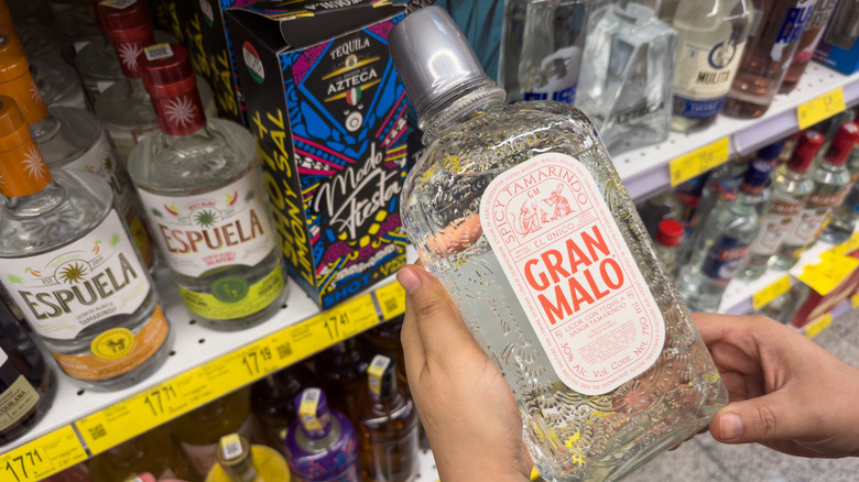 The 12 best tequila brands you might not have heard of