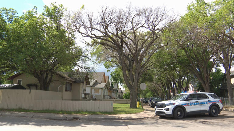 Regina police find apparent human remains in North Central backyard