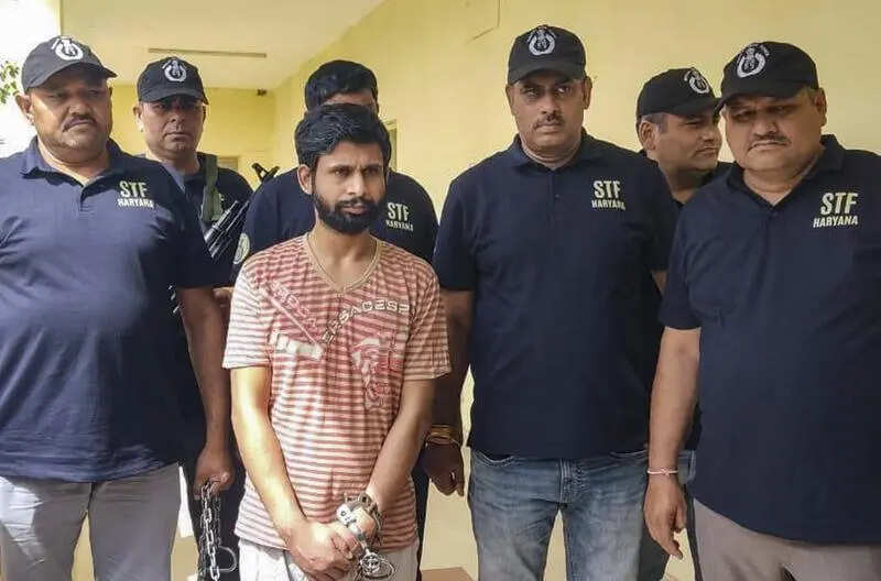 Gangster facing 34 FIRs in Haryana, CHD extradited from Georgia