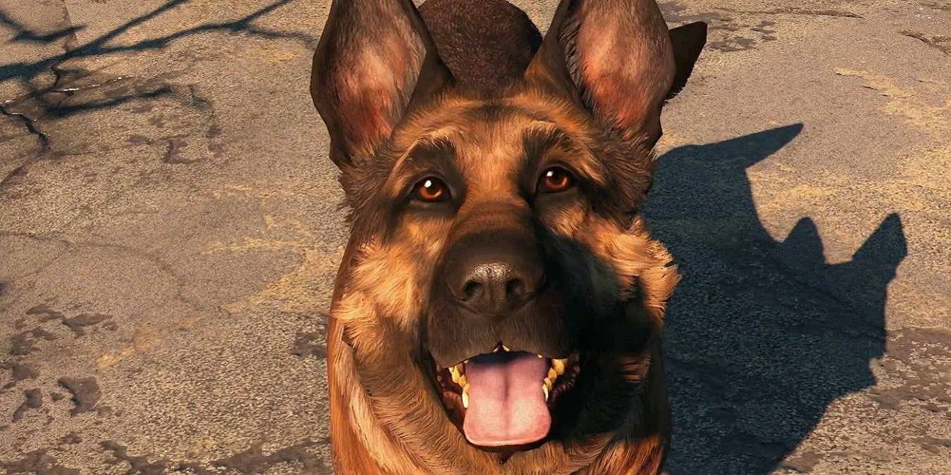 Woman’s life saved from gun-wielding dog by brave gaming PC
