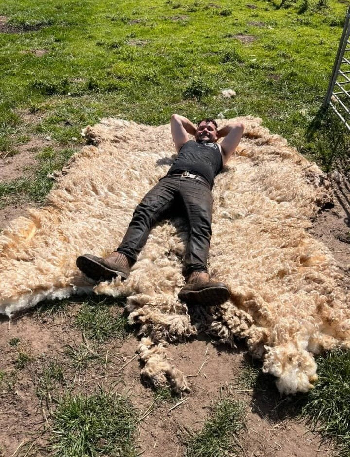 8-foot sheep big enough to make 50 fleece jumpers