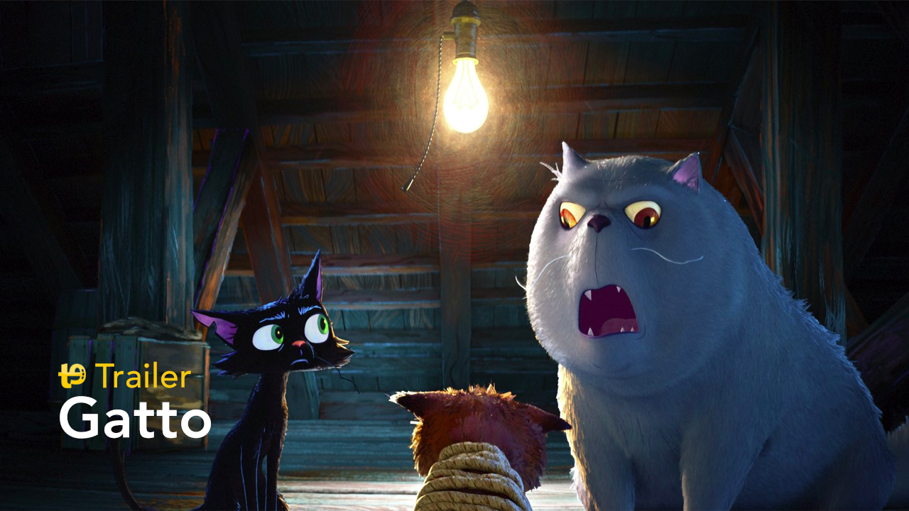Gatto - Teaser trailer español