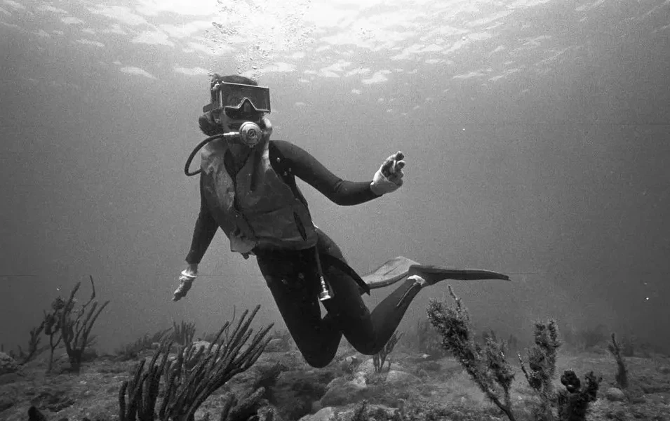 Divers uncover thriving marine life in mysterious blue holes