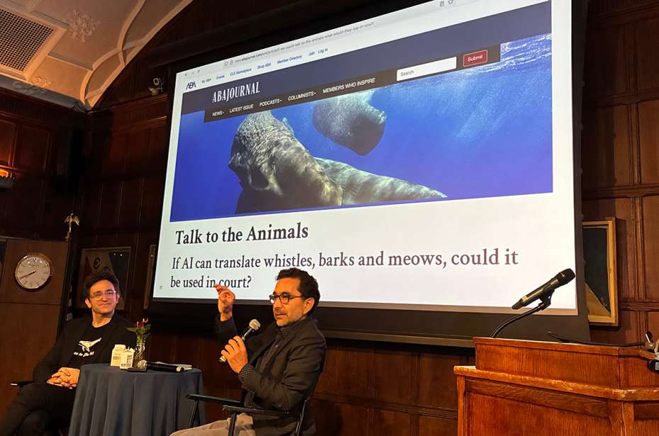 Decoding whale language could unlock new legal rights for them