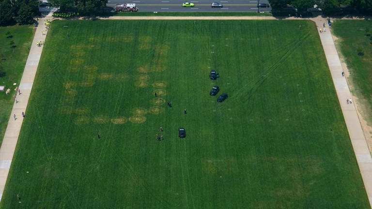 Apparent Trump protest phrase ‘86 47’ etched into National Mall